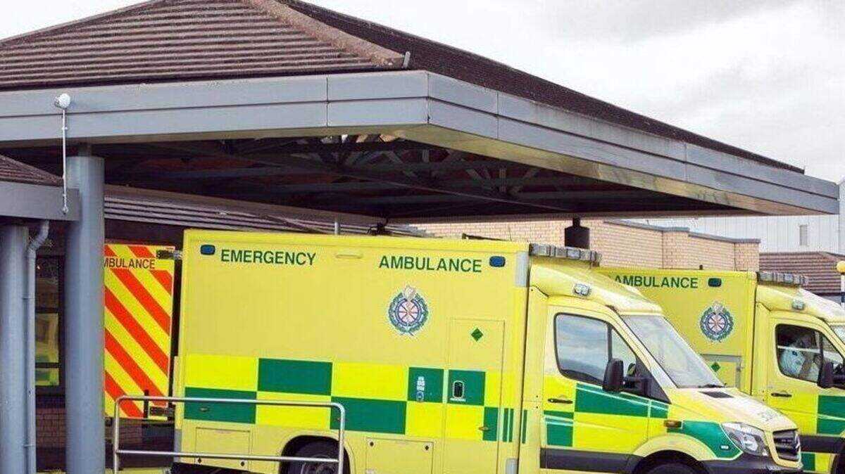 Gardai launch probe after visitor is allegedly sexually assaulted in ...