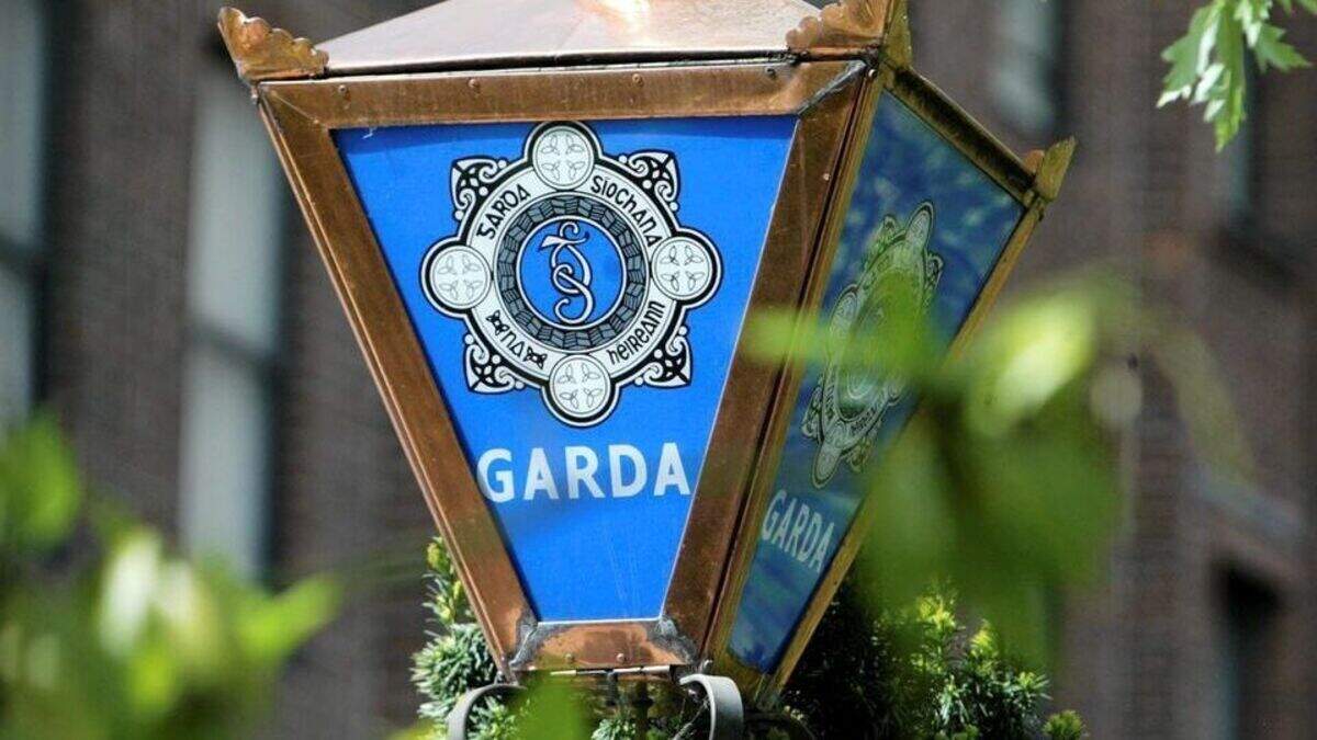 Woman (50s) arrested by gardai investigating death of man in ‘domestic ...