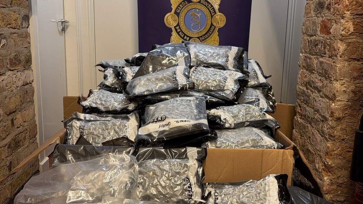 Brothers (50s) accused of stashing €1.5m of cannabis at Tallaght ...
