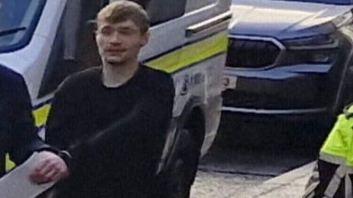Pictured: Twin brothers who admitted killing Romanian man at house in ...