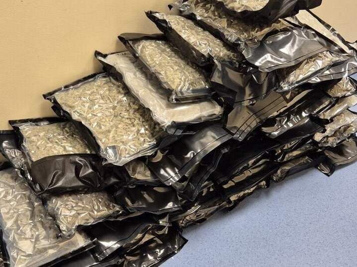 Criminals smuggled drugs ‘hidden as glue on plywood’ into Ireland’s ...