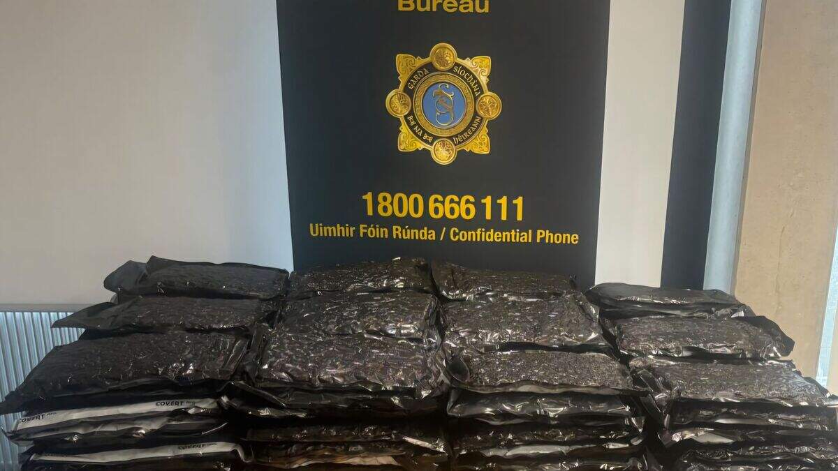 Two men arrested as €1.1 million of drugs seized in Tallaght | Crime World