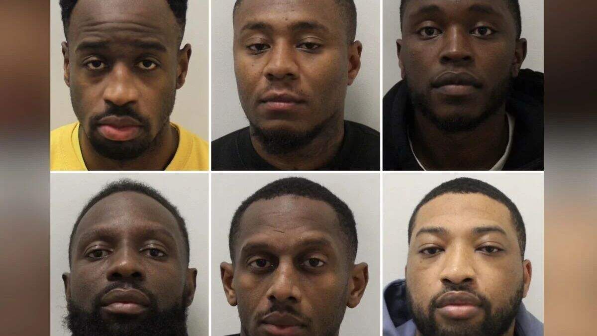 Luke Skeete, Jamarl Joseph, Shaquille Hippolyte-Patrick, Adam Pepara ...