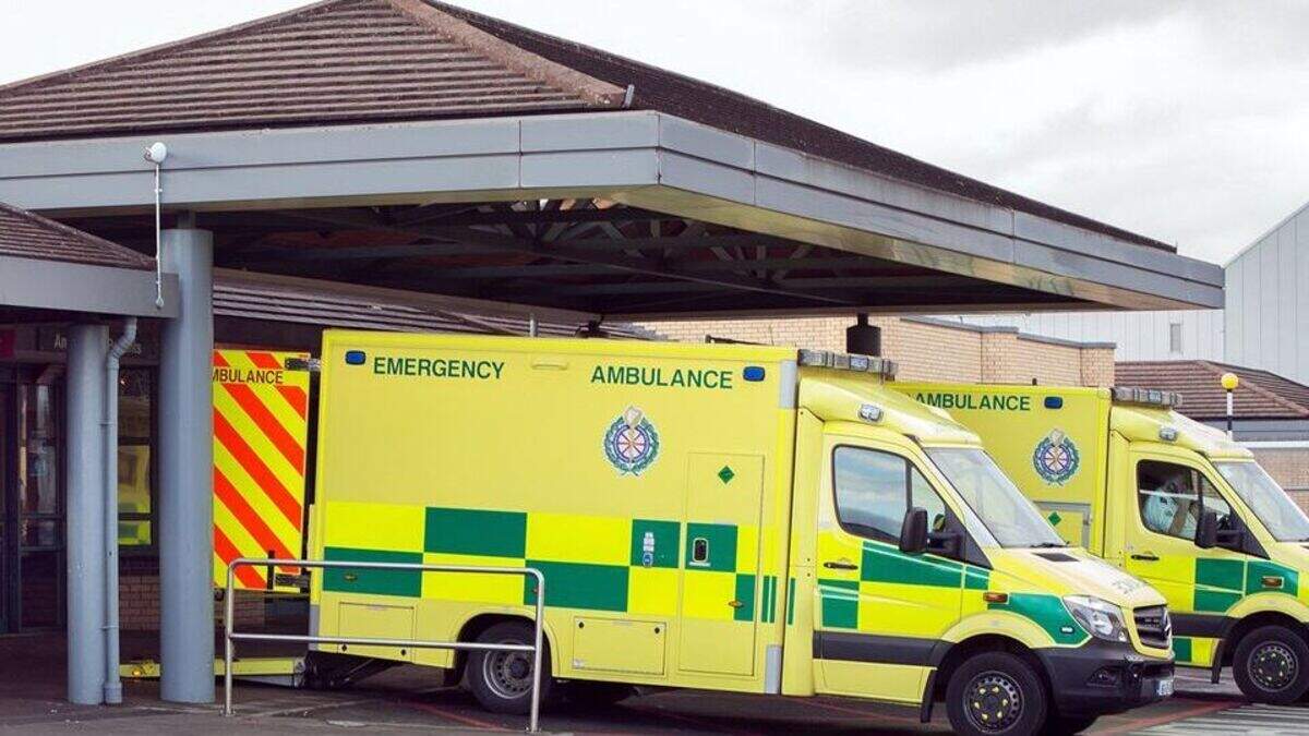 Two bikers hospitalised after motorcycles hit bridge near Prosperous ...
