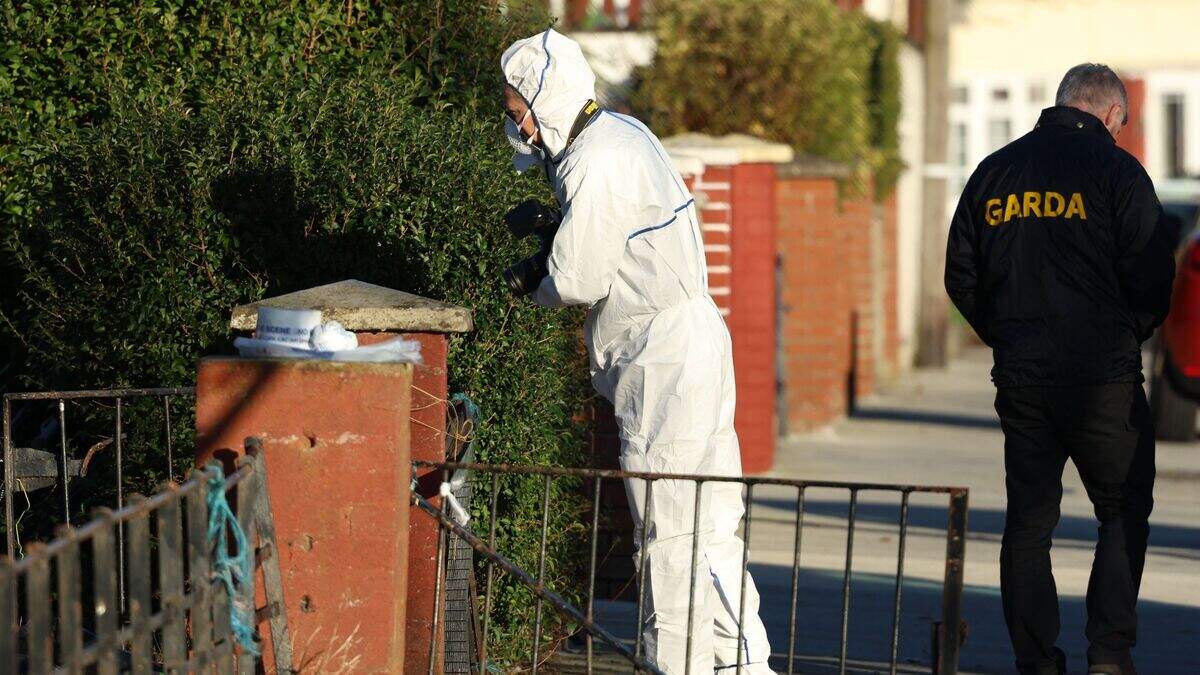 Family of man murdered overnight in Dunsink Green in Finglas previously ...