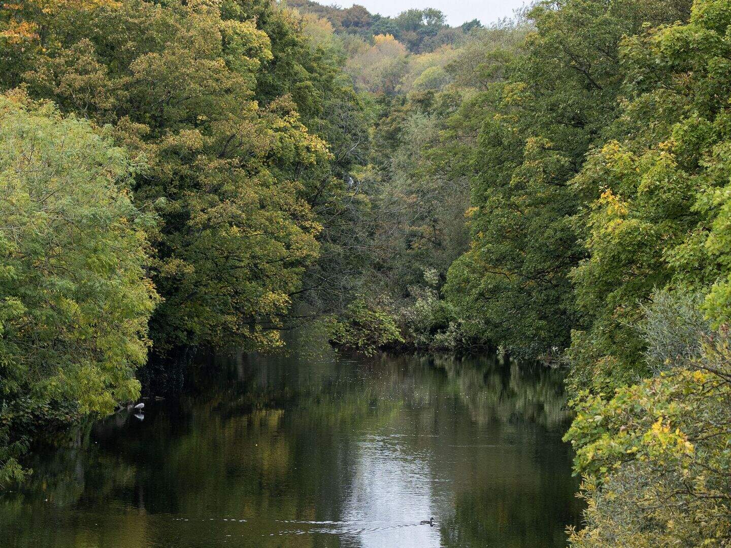 Man dies after swimming across River Liffey following assault in Dublin ...