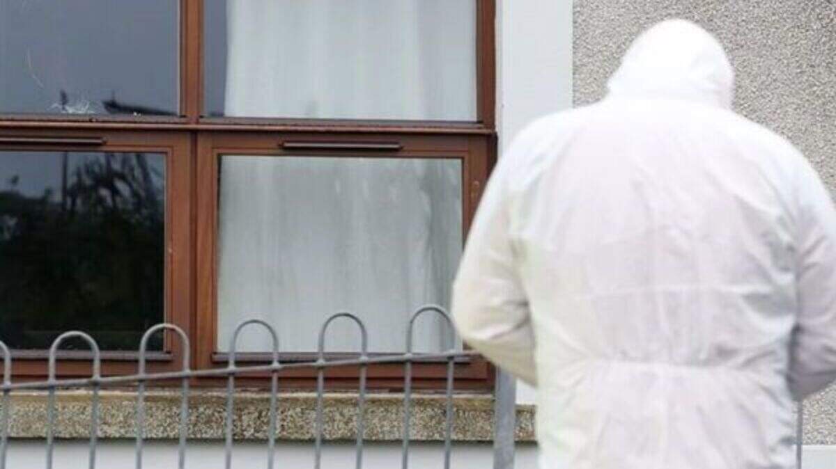 Residents escape injury after shots fired into Downpatrick home ...