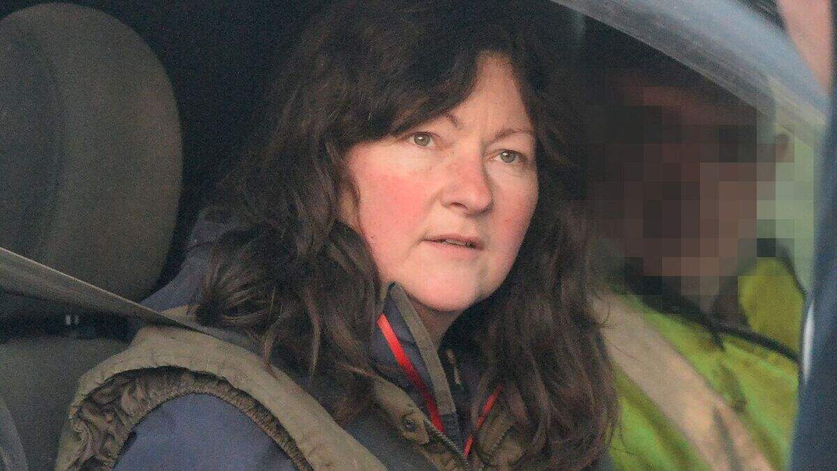 Anne Broderick: Cork heiress exposed as owner of puppy farm ordered to ...