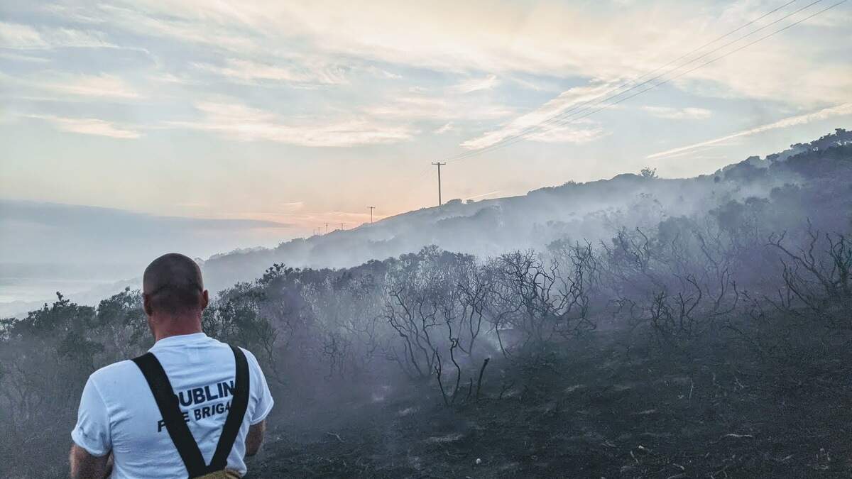 Emergency crews rush to battle gorse fire in Howth as forest fire ...