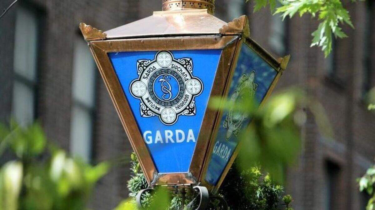 Three members of Munster robbery gang arrested after armed raid at ...