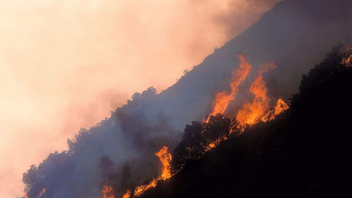 Man arrested on suspicion of arson after large gorse fire near Mourne ...