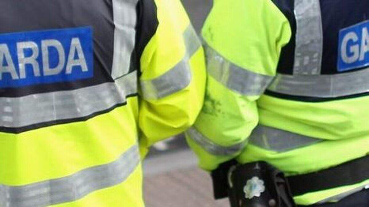 Bonane: Wide-spread shock as woman (60s) dies following fatal farm ...