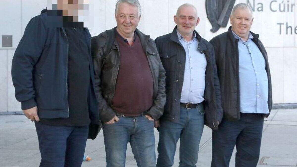 Men jailed over Strokestown ‘mob' attack labelled ‘barbaric’ as ...
