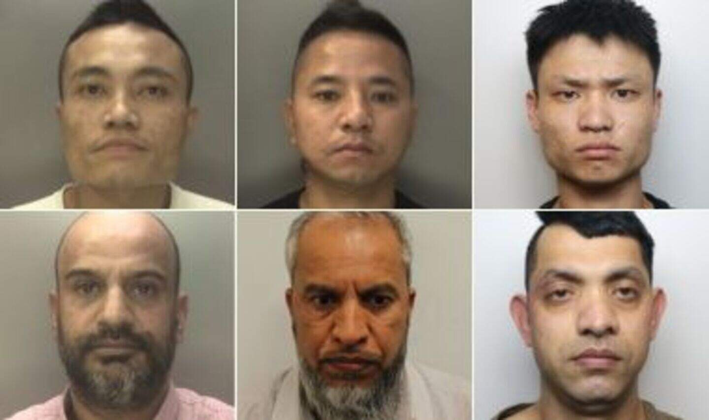 Gangsters who forced trafficked migrants to work in UK cannabis farms ...